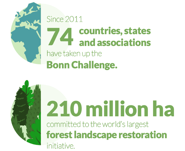 The Bonn Challenge: Restoring Our Planet One Hectare at a Time – The ...